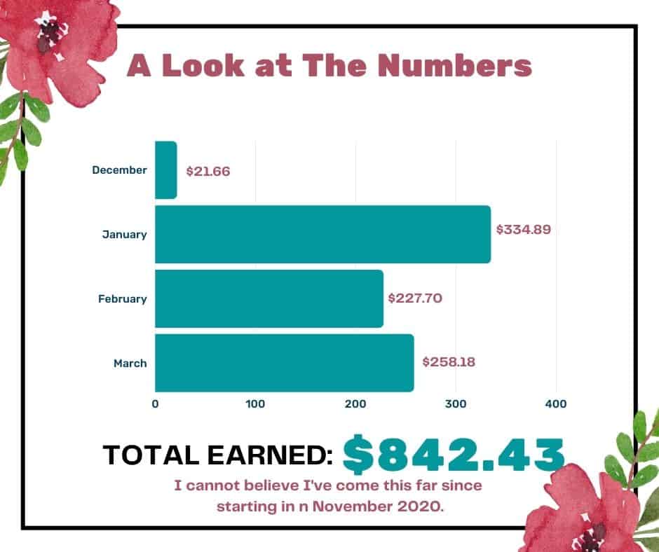 (Blog Report: March 2021) Over $800 Made Since Starting a Blog! Social ...